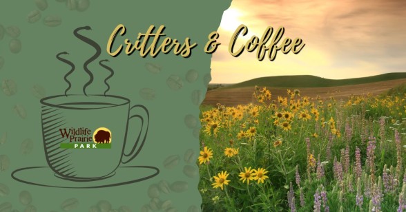 Adventure awaits - Wildlife Prairie Park