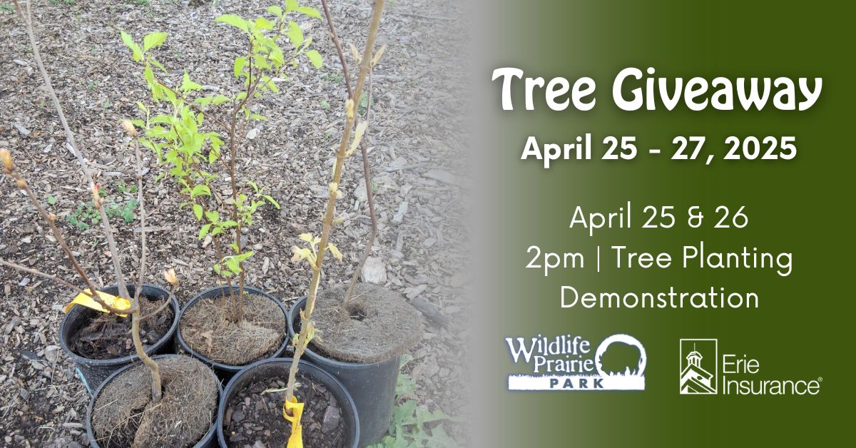 Tree Giveaway for Arbor Day - Wildlife Prairie Park