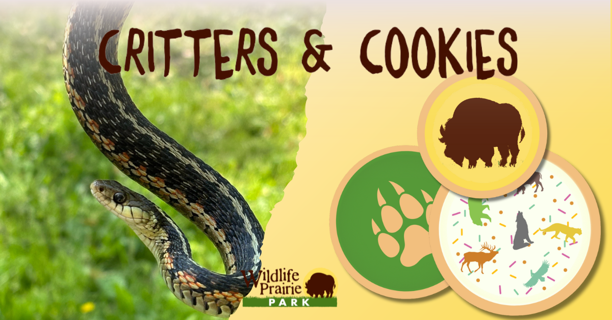 Critters & Cookies - Wildlife Prairie Park